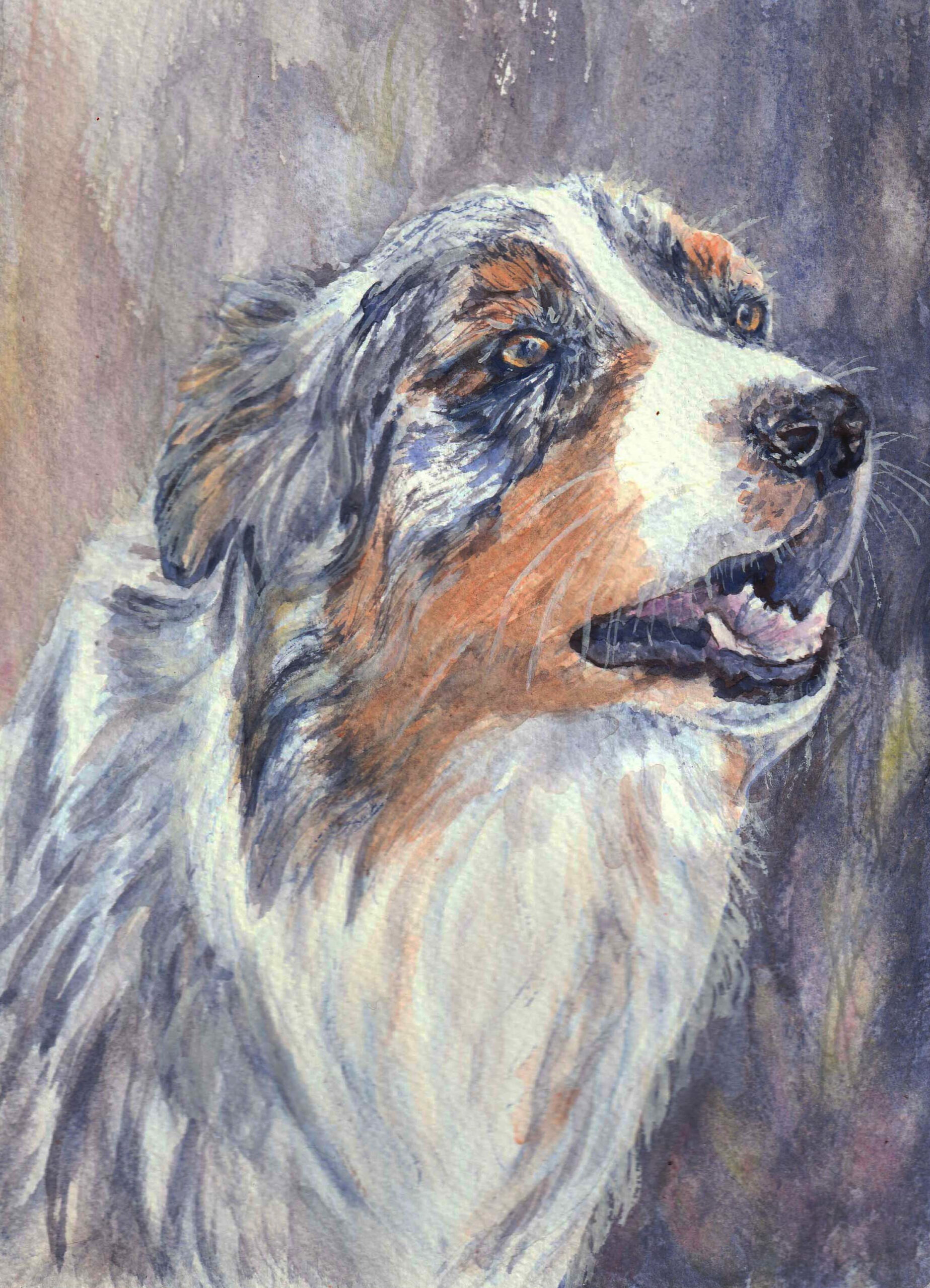 Australian Shepard Dog - Lucie Mizutani Watercolor Art